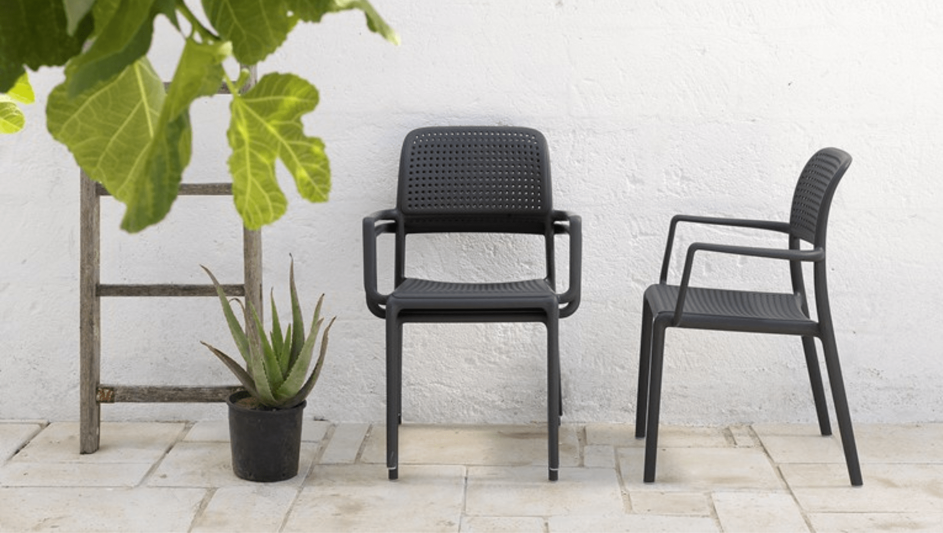Bora Arm Chair | McGreals