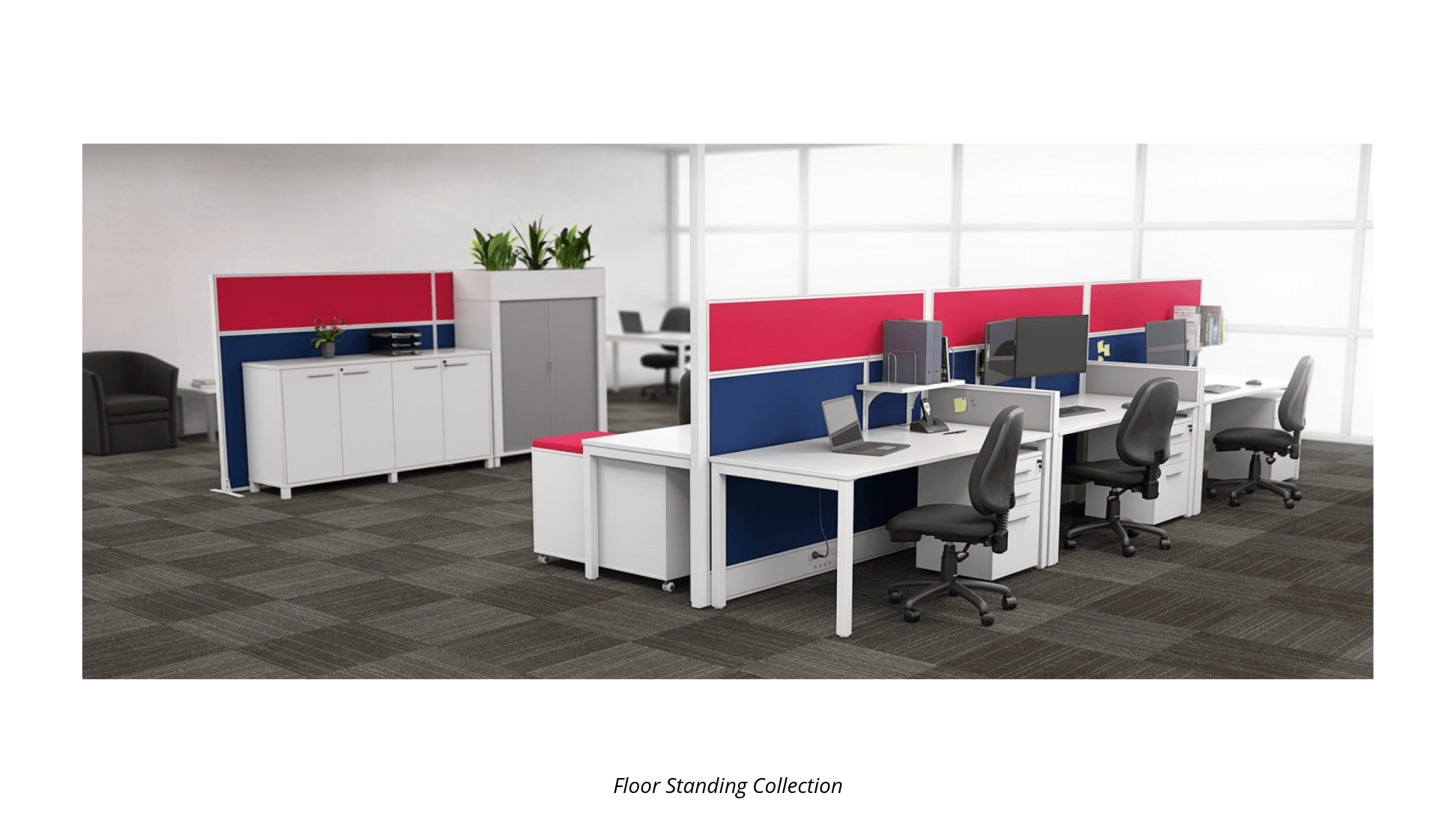 Studio 50 Partitions | McGreals